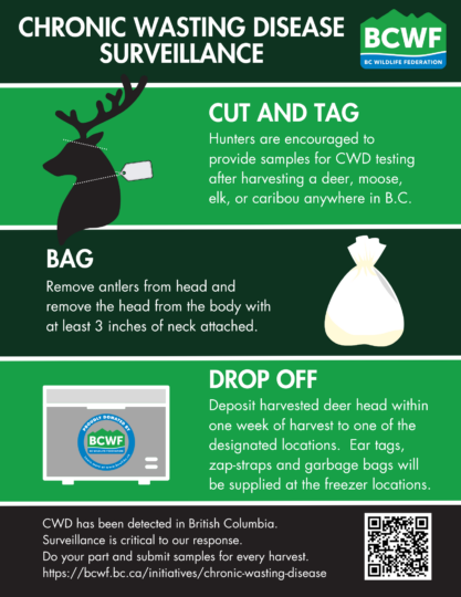 Chronic Wasting Disease | B.C. Wildlife Federation