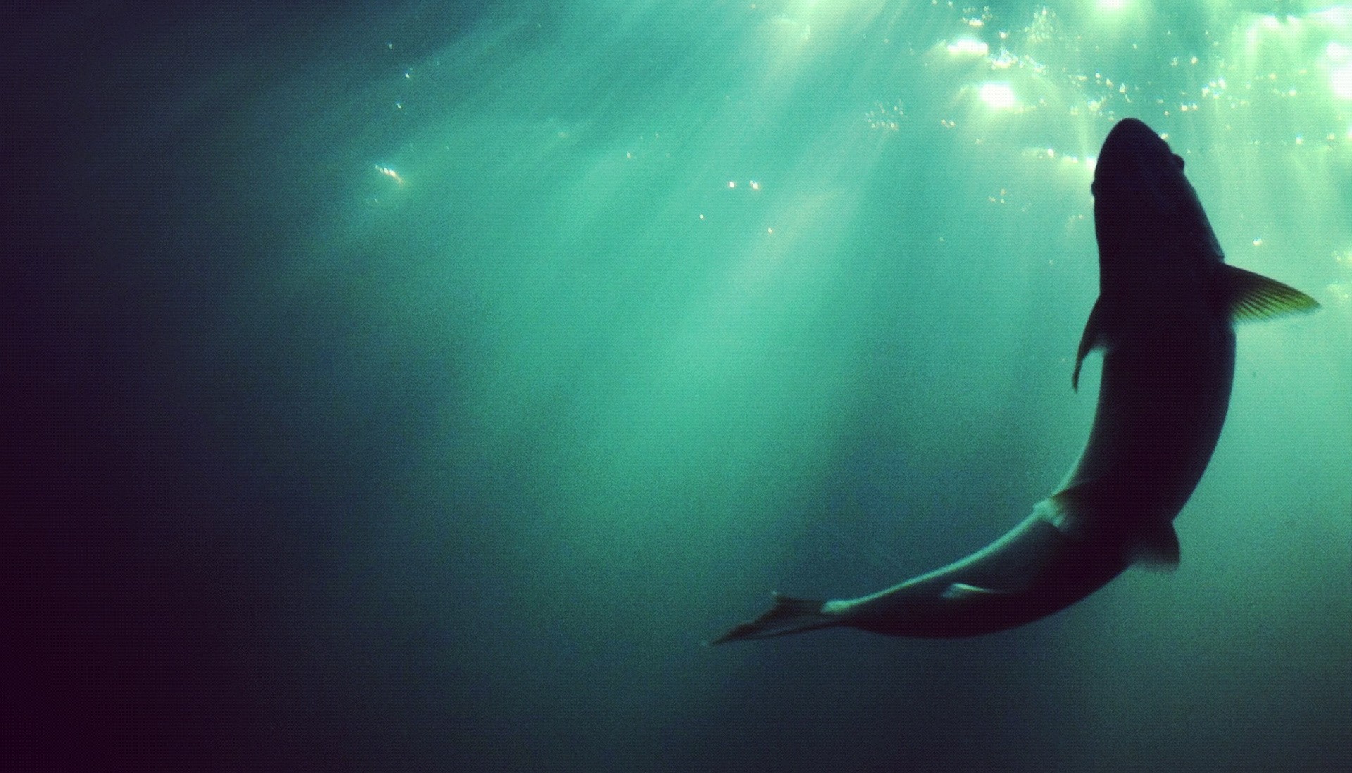 Big Bar Slide Disaster: What Next? | News & Updates