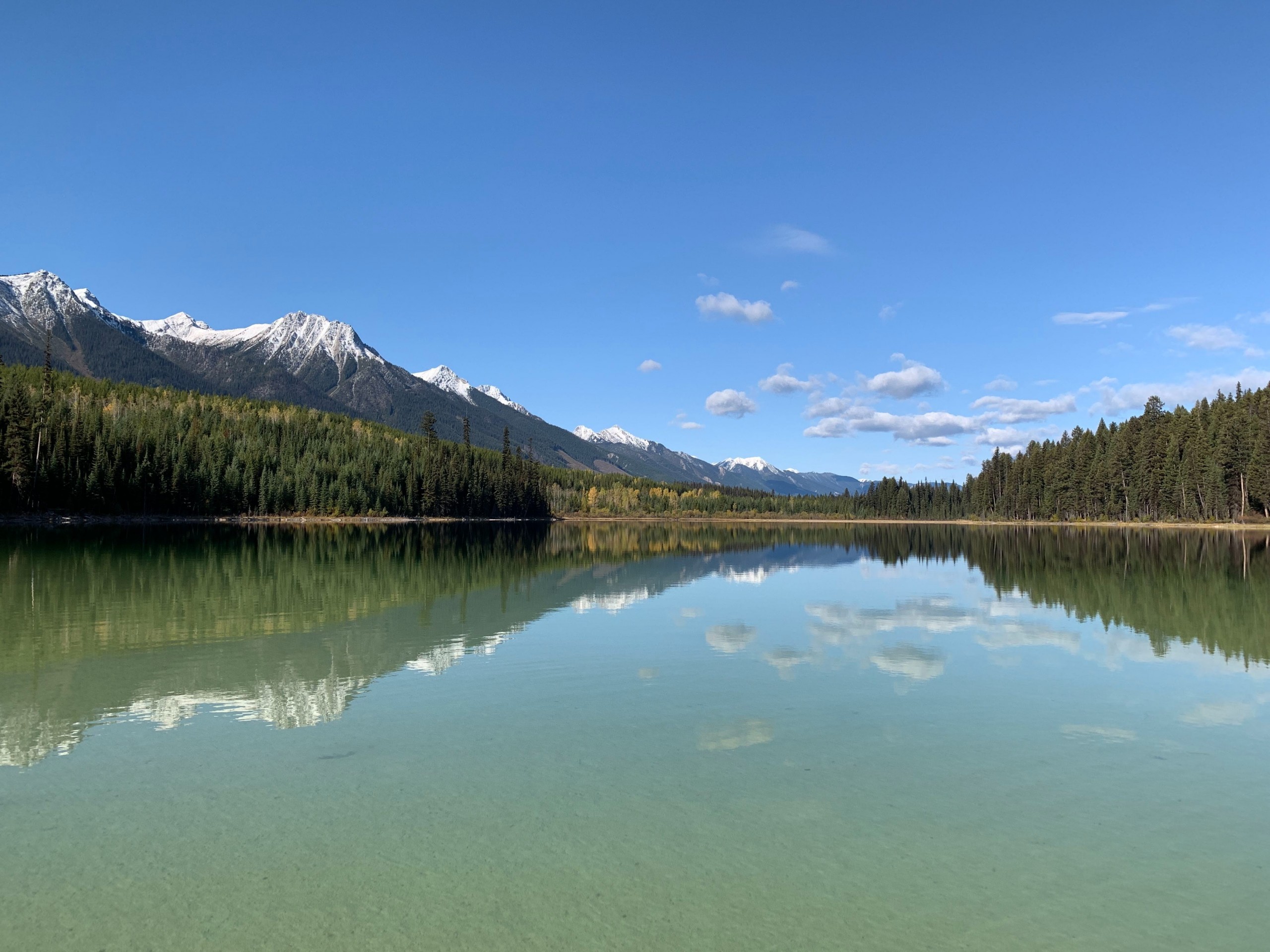 Conservation Webinar Series B C Wildlife Federation