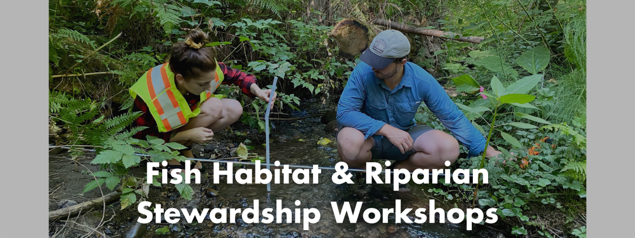 Fish Habitat Restoration & Education Program | BC Wildlife Federation