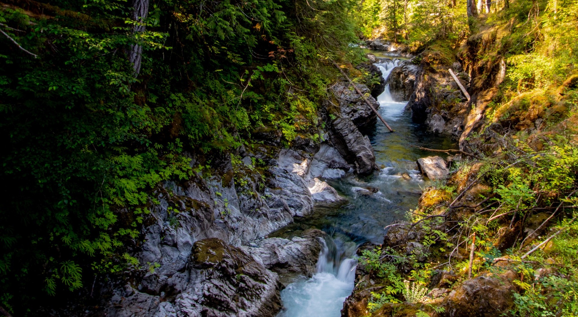 Improving Forest Practices to Protect Water | B.C. Wildlife Federation