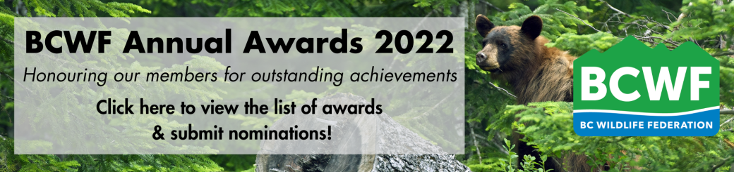 B.C. Wildlife Federation | Donate or Become a Member Today
