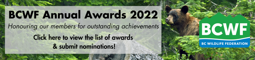 B.C. Wildlife Federation | Donate or Become a Member Today
