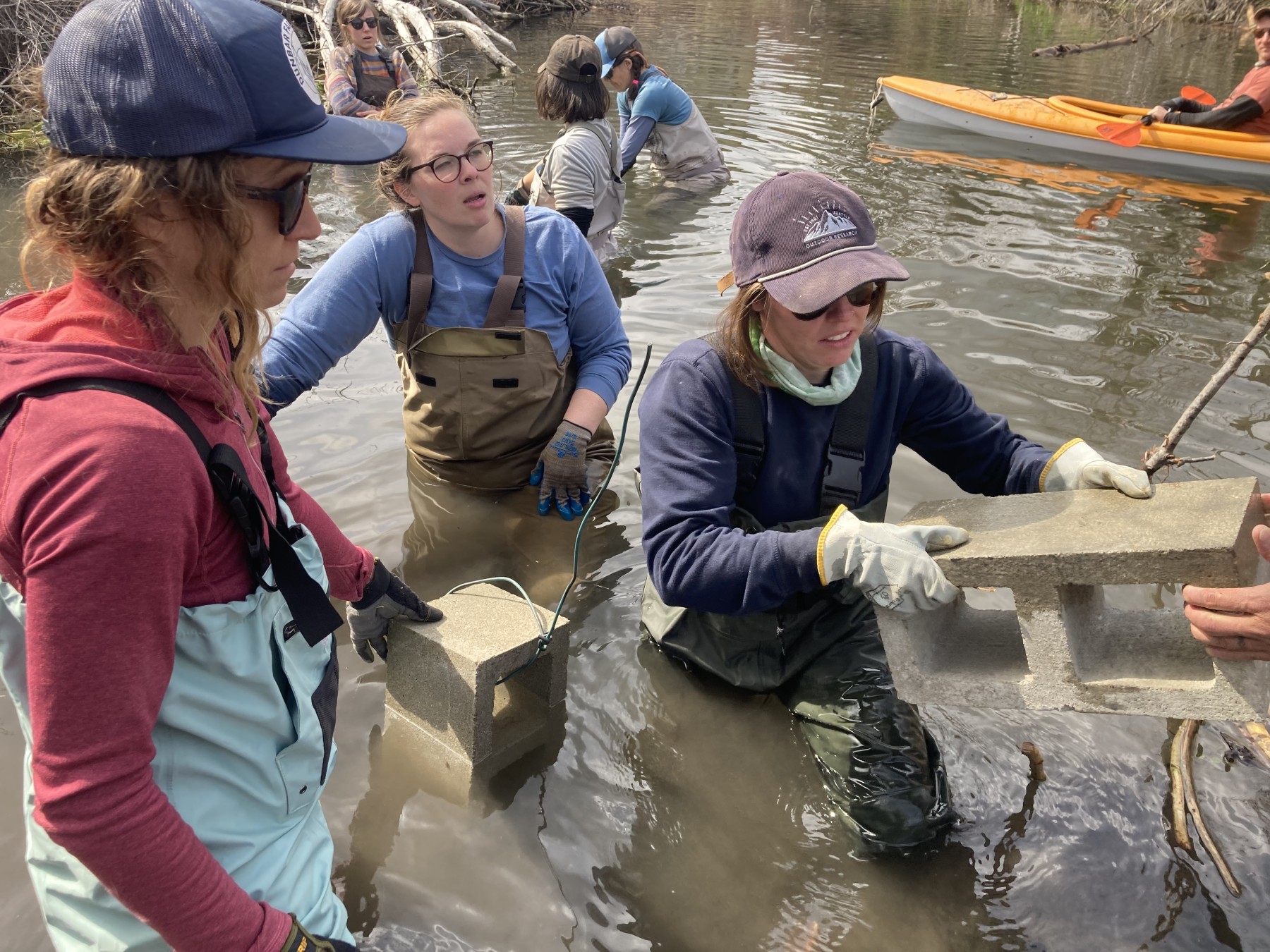 Beaver Dam Analogues regulate stream flow and temperature, enhancing ...