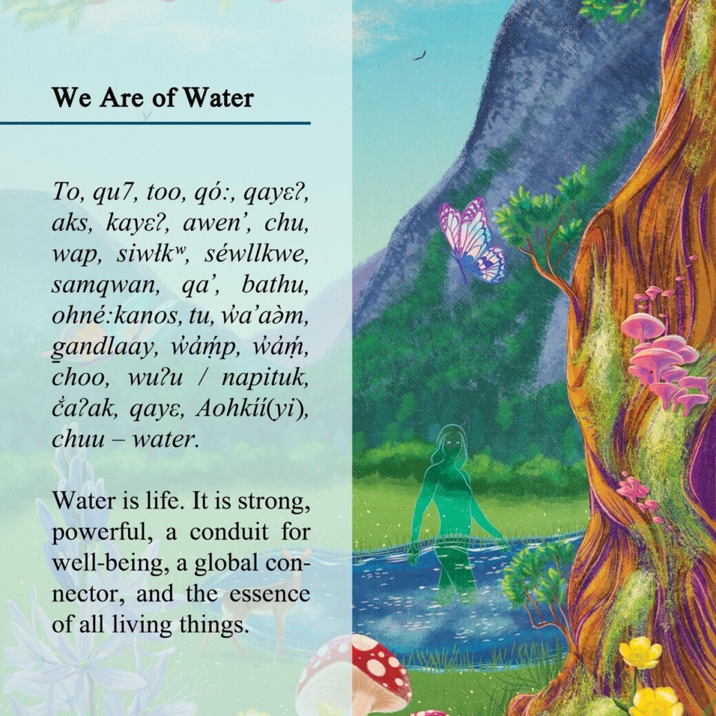 BCWF Illustrator Releases First Graphic Novel to Kick Off National ...