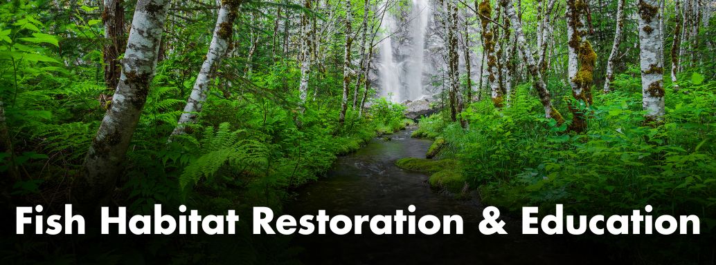 Watershed Stewardship & Education Programs | B.C. Wildlife Federation