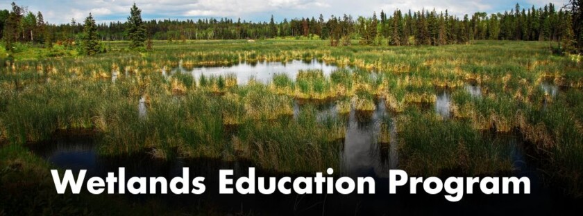 Watershed Stewardship & Education Programs | B.C. Wildlife Federation