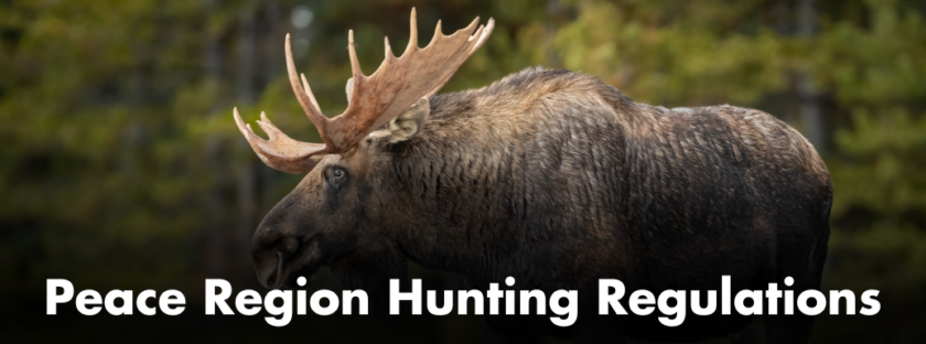 Hunting & Access | B.C. Wildlife Federation