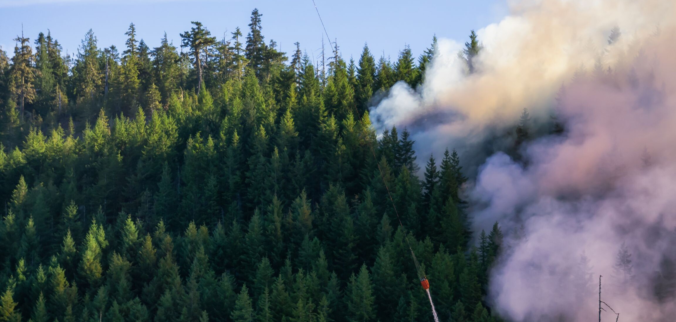 WEBINAR: Forest and Fire Management in BC: Toward Landscape Resilience ...