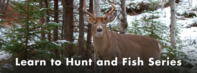 Hunting & Access | B.C. Wildlife Federation