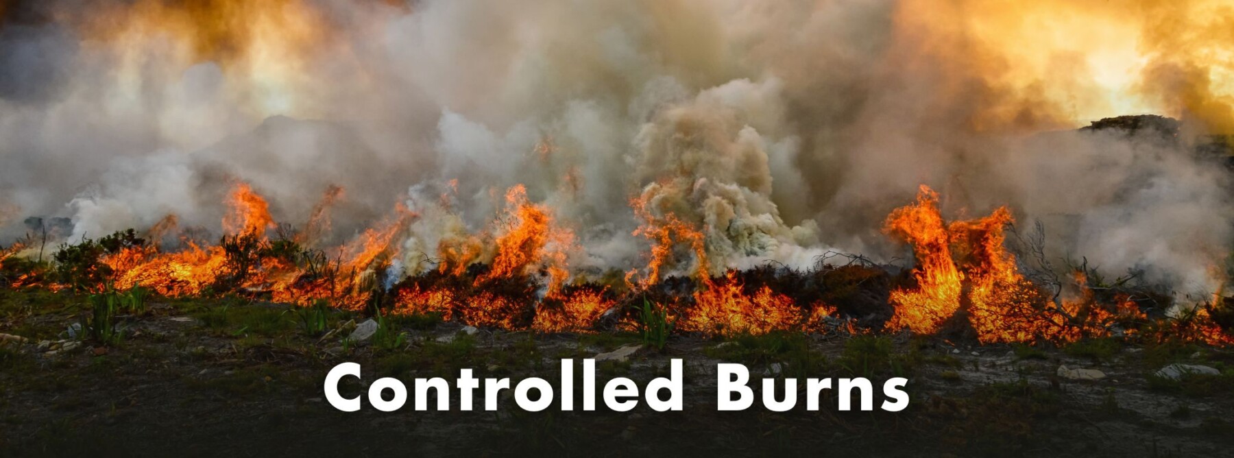 Conservation | B.C. Wildlife Federation