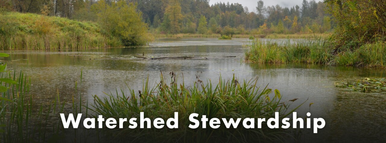 Conservation | B.C. Wildlife Federation