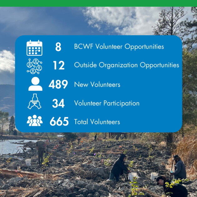 Volunteer with BCWF | Make an Impact | BC Wildlife Federation