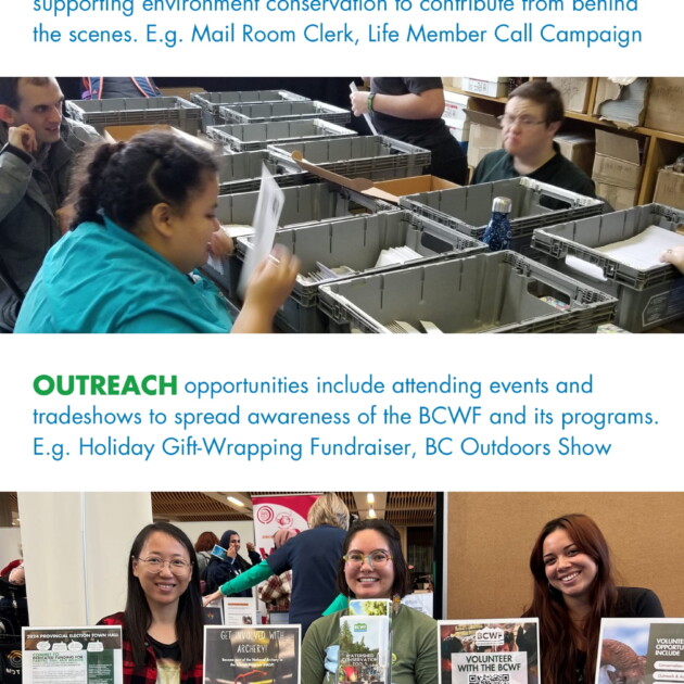Volunteer with BCWF | Make an Impact | BC Wildlife Federation